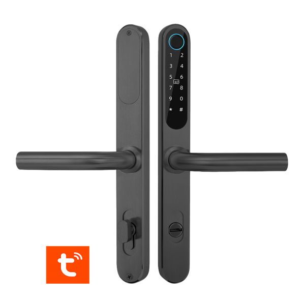 929PG-62-F(TUYA) - Incuietoare all-in-one cu cititor de carduri Mifare ...